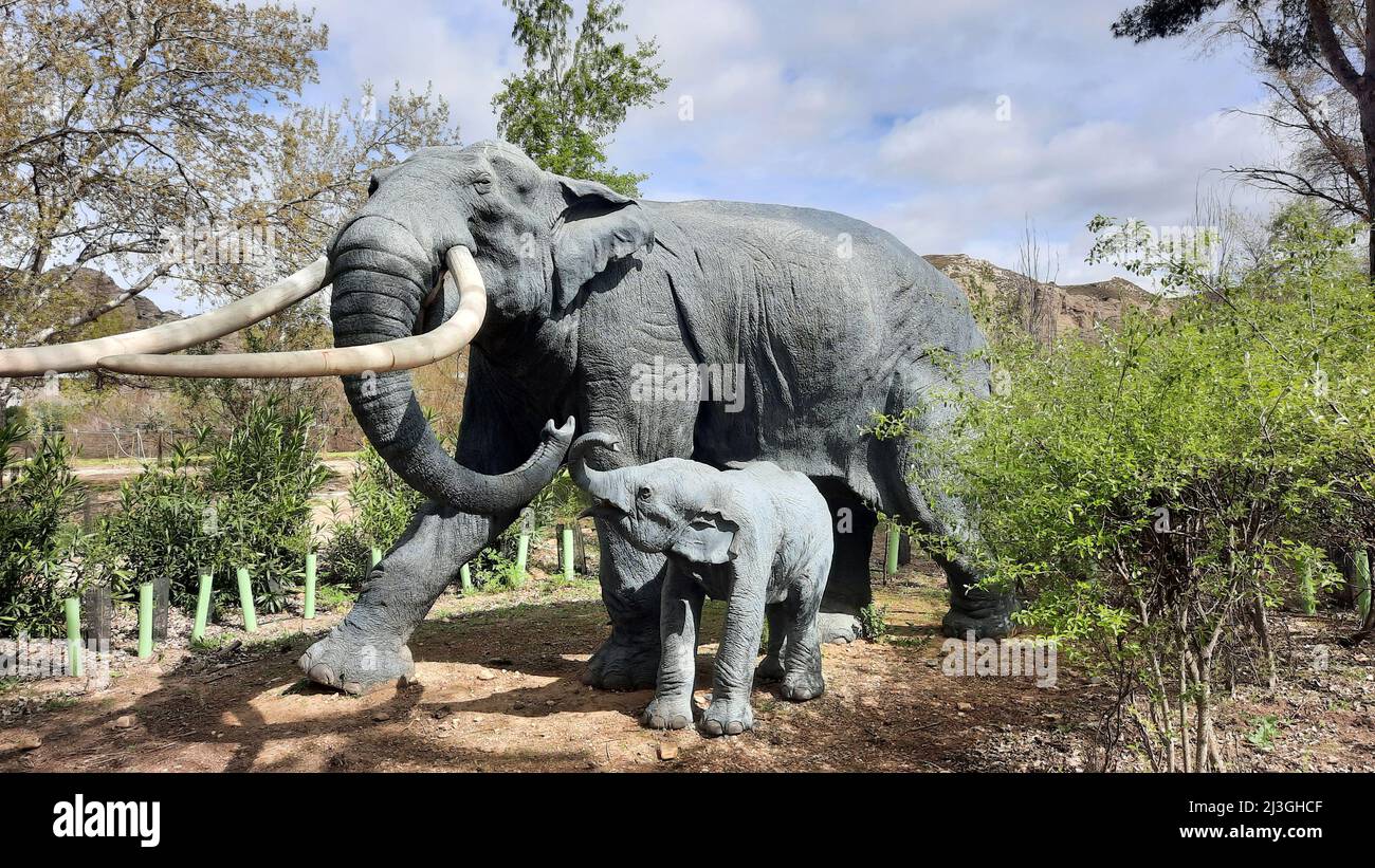Elephant model hi-res stock photography and images - Alamy