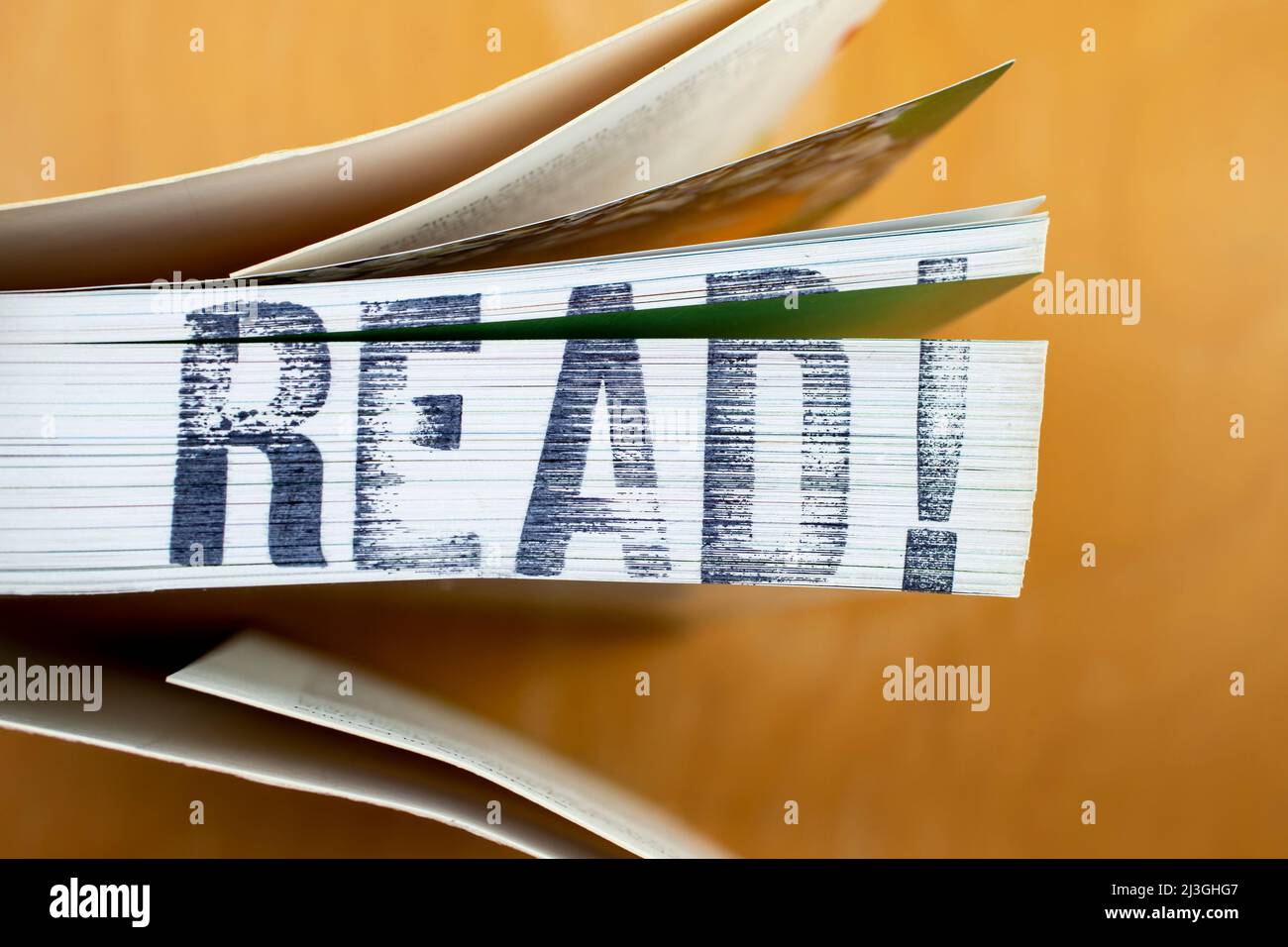 READ! written with stamp lettering on the side of a thick book Stock ...