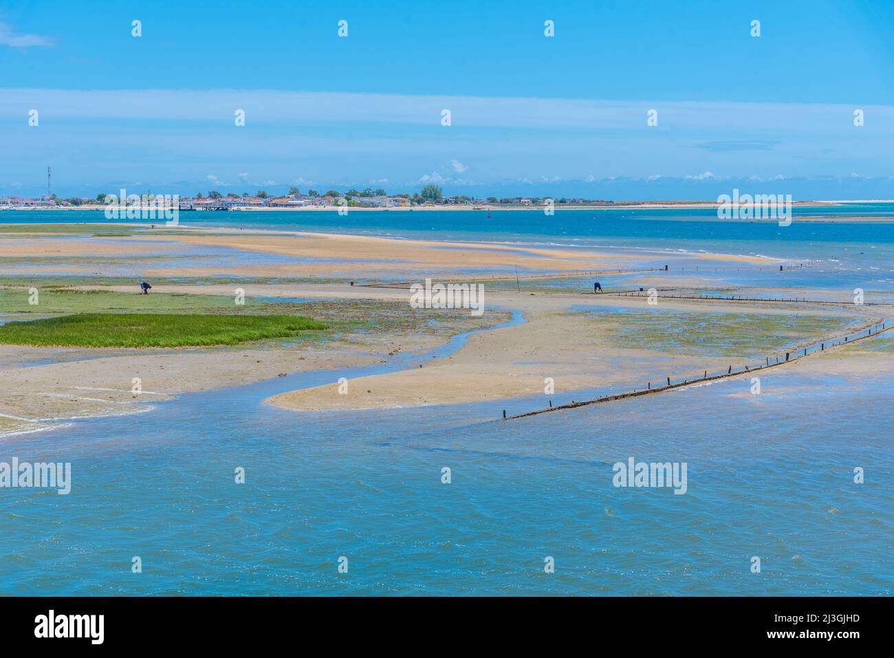 Wetlands of Ria Formosa national park at Portugal Stock Photo - Alamy
