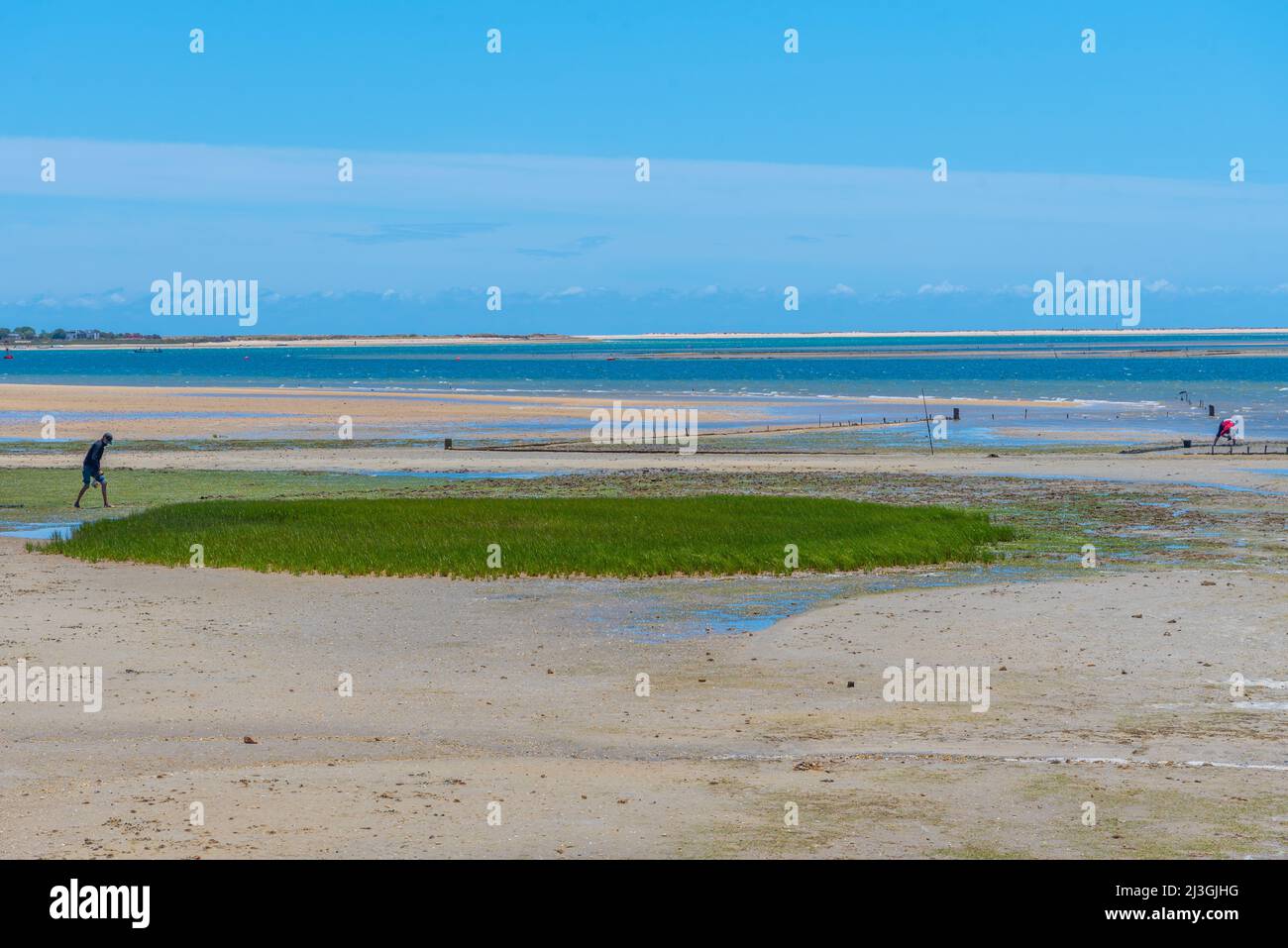Wetlands of Ria Formosa national park at Portugal Stock Photo - Alamy
