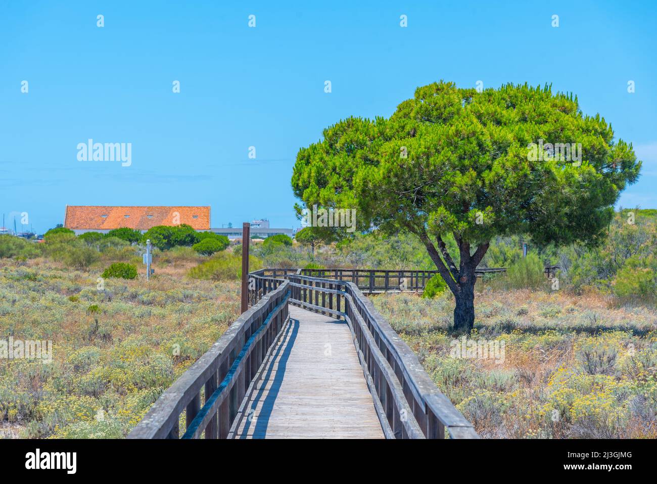 Wetlands of Ria Formosa national park at Portugal Stock Photo - Alamy