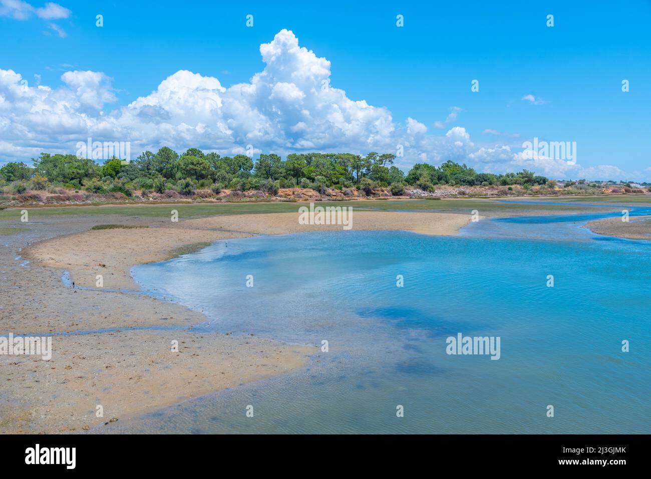 Wetlands of Ria Formosa national park at Portugal Stock Photo - Alamy