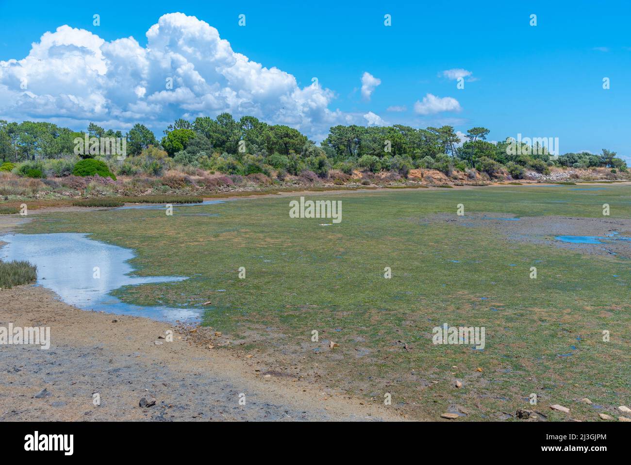 Wetlands of Ria Formosa national park at Portugal Stock Photo - Alamy