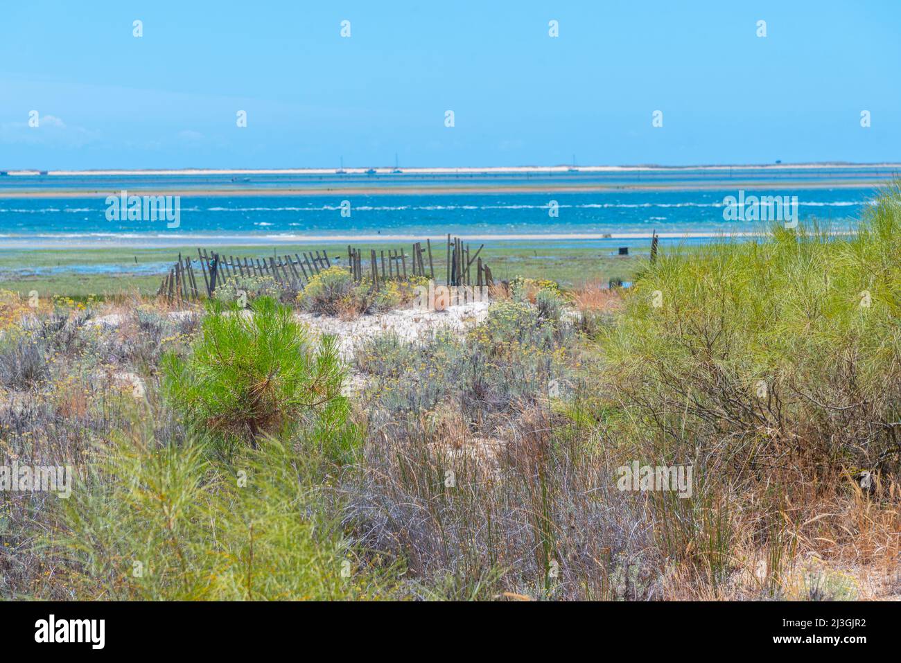 Wetlands of Ria Formosa national park at Portugal Stock Photo - Alamy