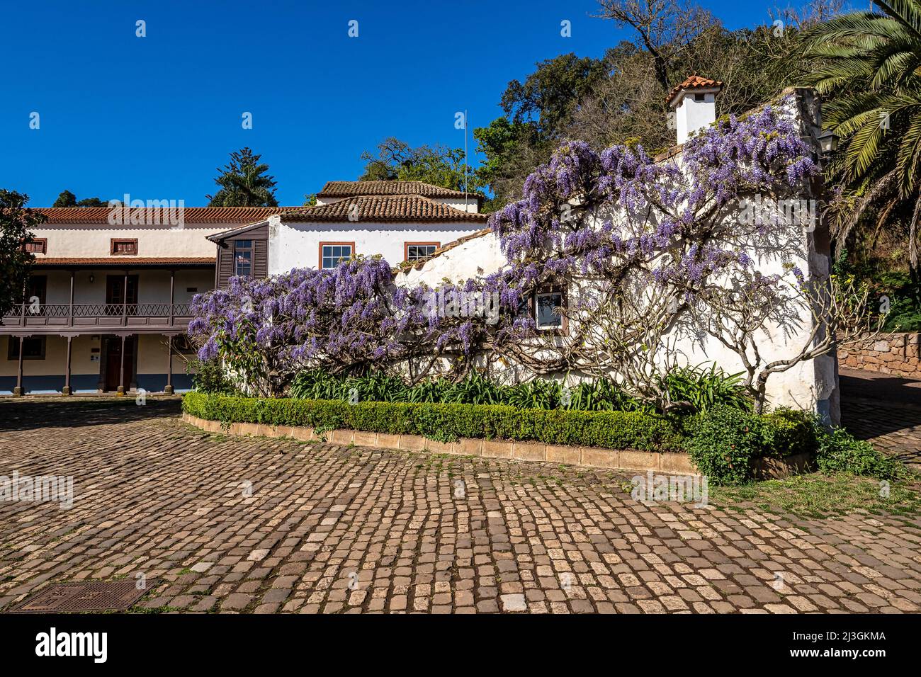 Flowers in the Finca de Osorio Park near Teror, Gran Canaria Island in ...