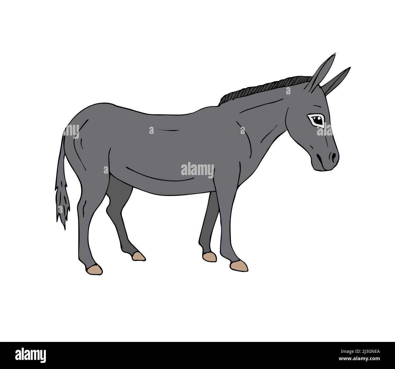 Vector hand drawn doodle gray sketch donkey isolated on white ...