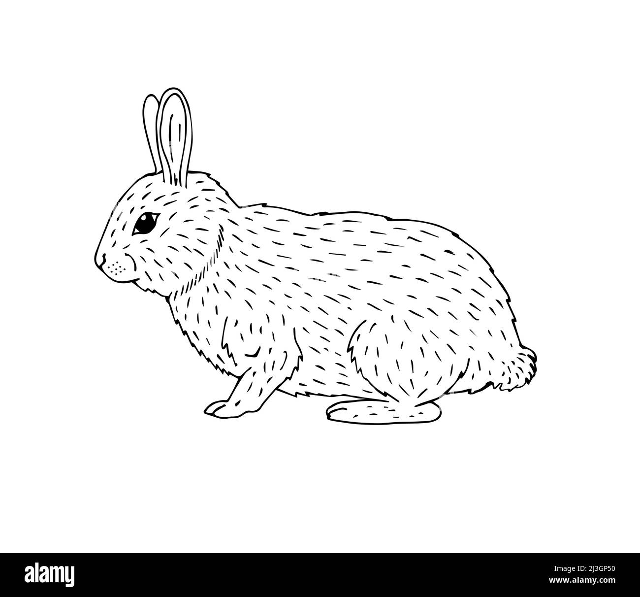 Vector hand drawn sketch doodle rabbit isolated on white background ...