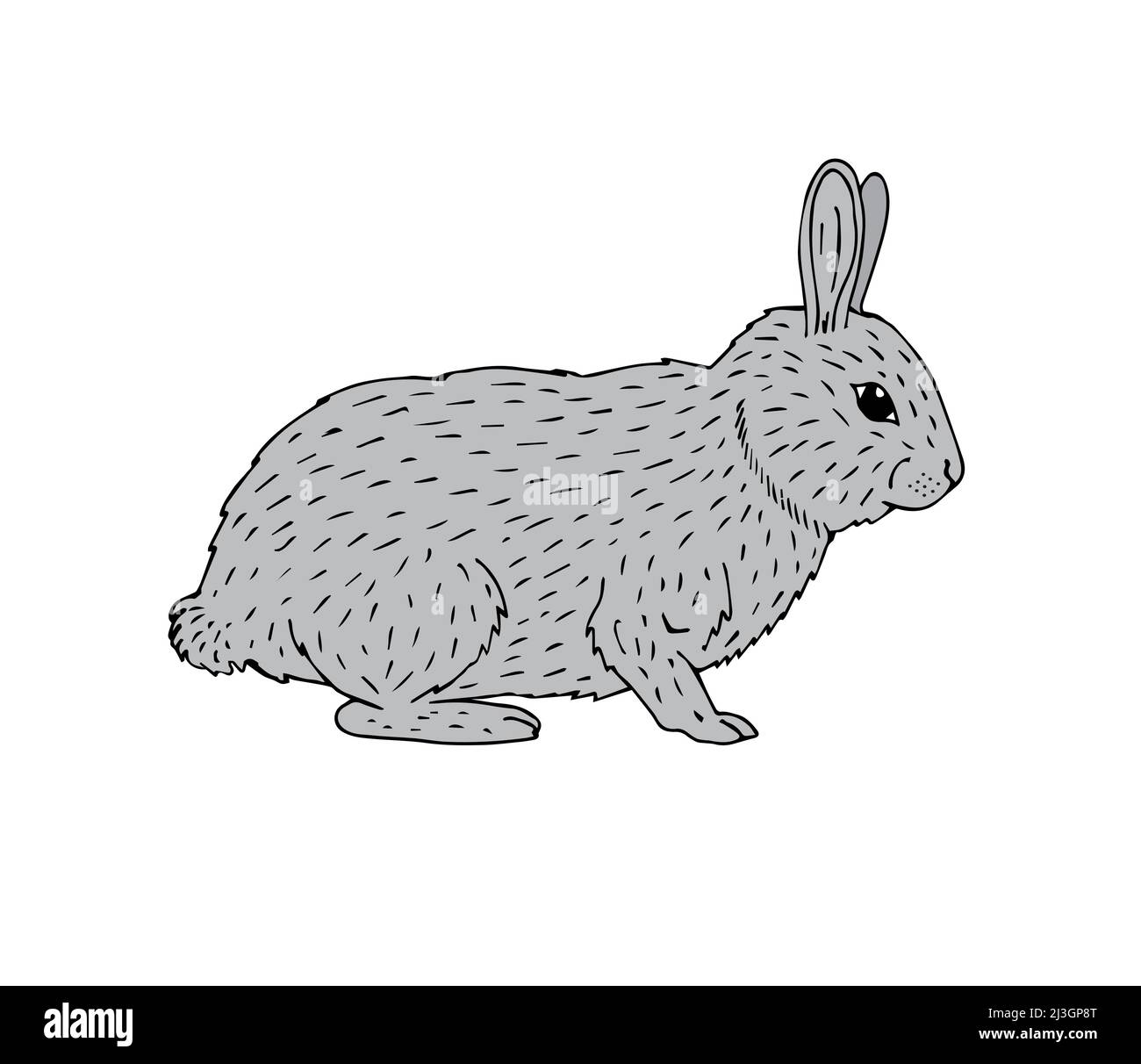 Vector hand drawn sketch doodle gray rabbit isolated on white ...