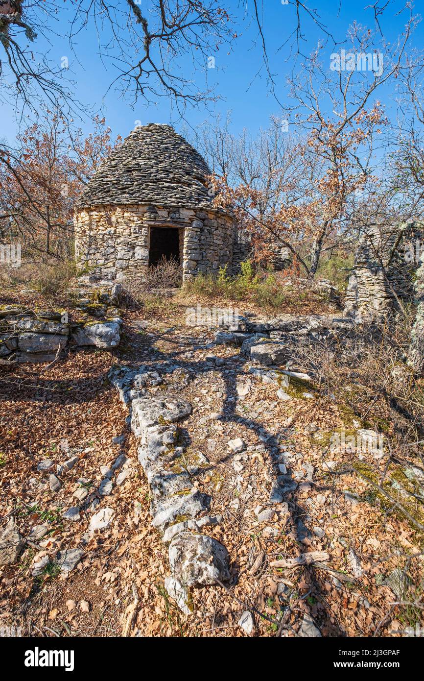 France, Alpes-de-Haute-Provence, Mane, borie, dry stone hut, in the ...