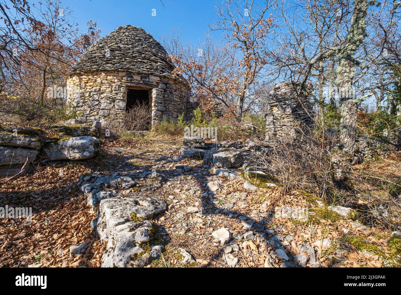 France, Alpes-de-Haute-Provence, Mane, borie, dry stone hut, in the ...