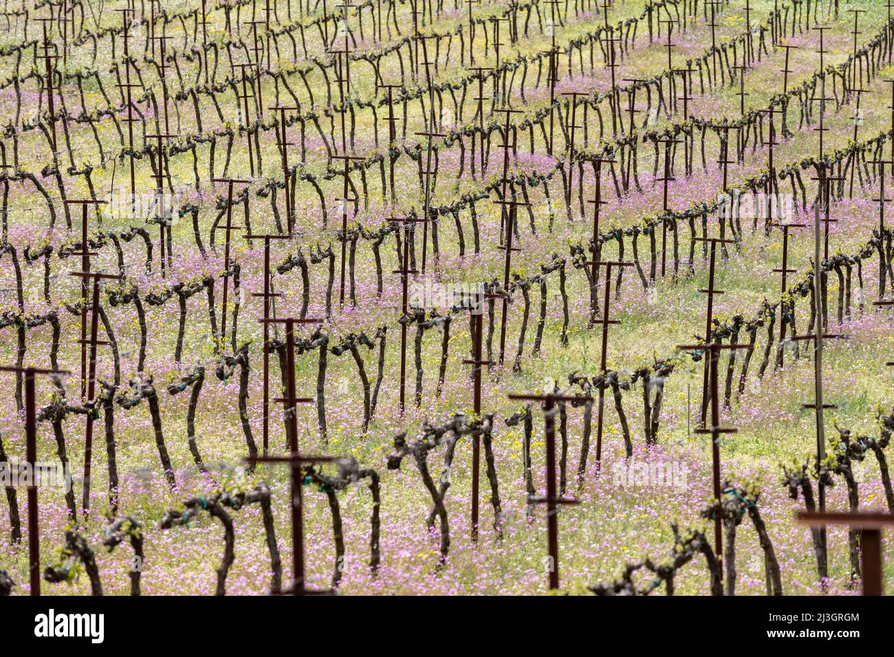 Zitsa epirus greece hi-res stock photography and images - Alamy