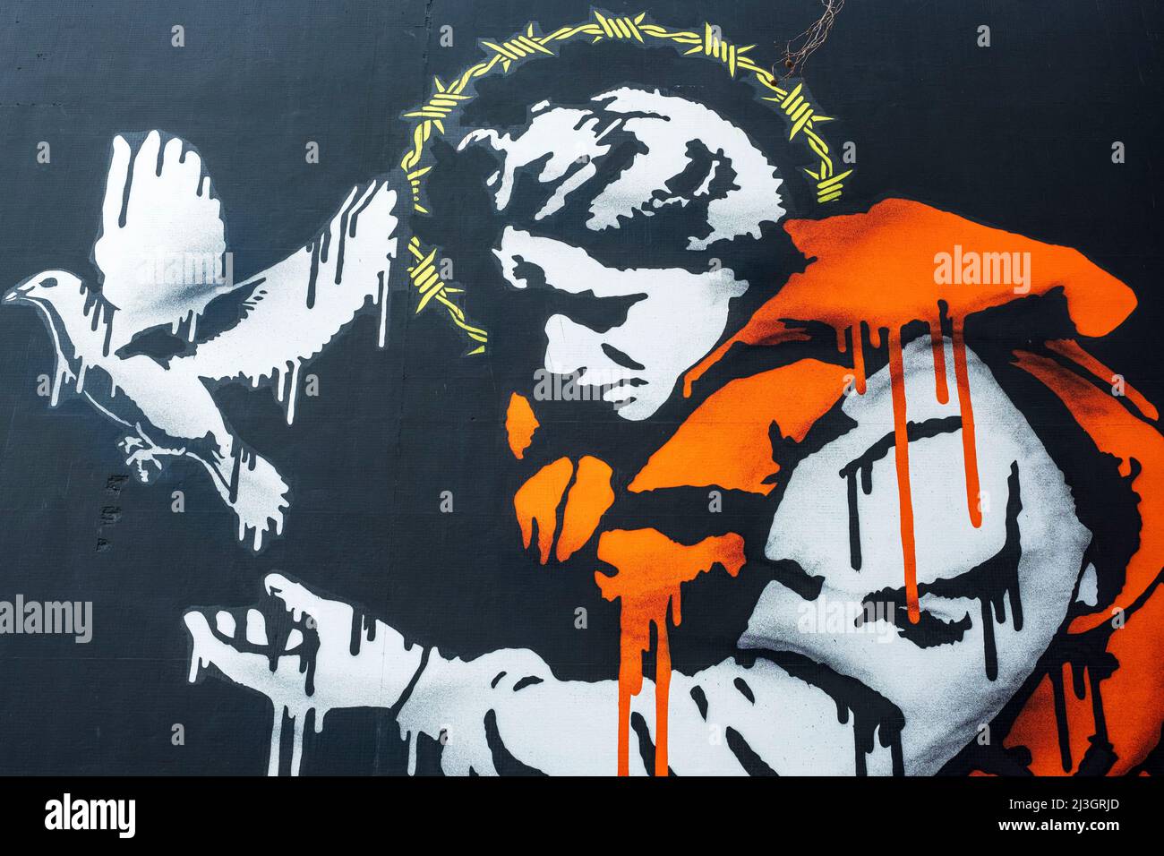 France, Isere, Grenoble, Lady Refugee mural by the French artist Goin ...