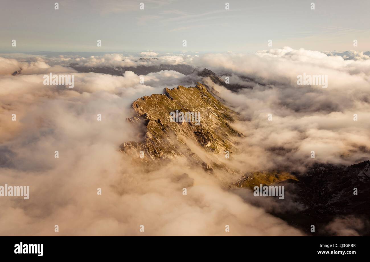 France, Isere, regional natural park of Chartreuse, the Hauts de ...