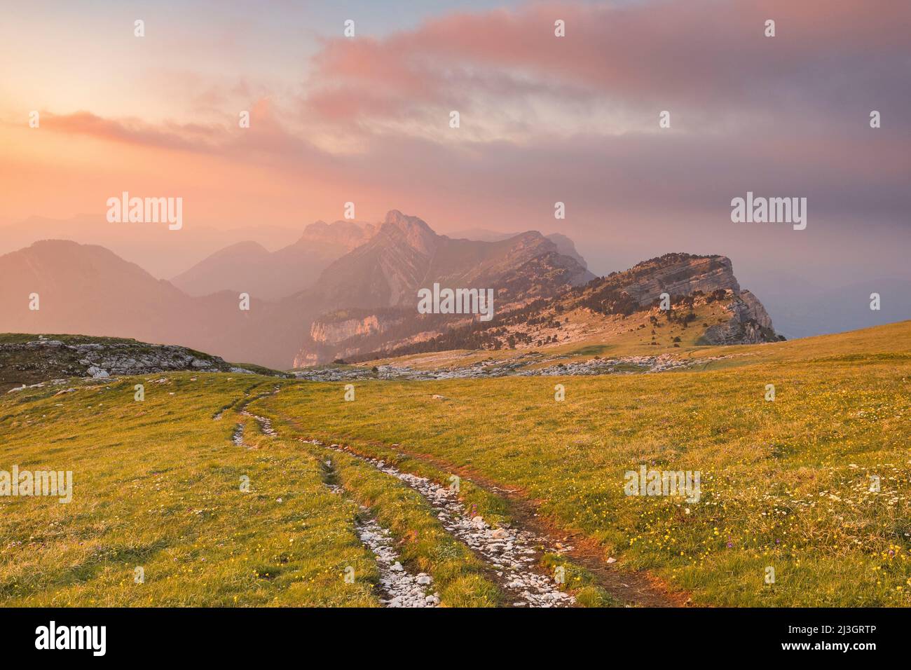 France, Isere , Chartreuse regional natural park, hike in the Hauts de ...
