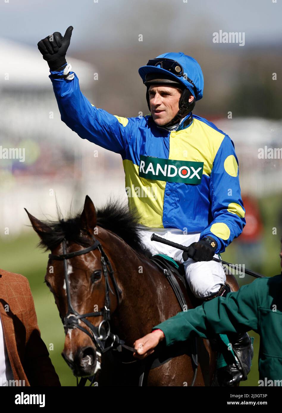 Langer dan horse hi-res stock photography and images - Alamy