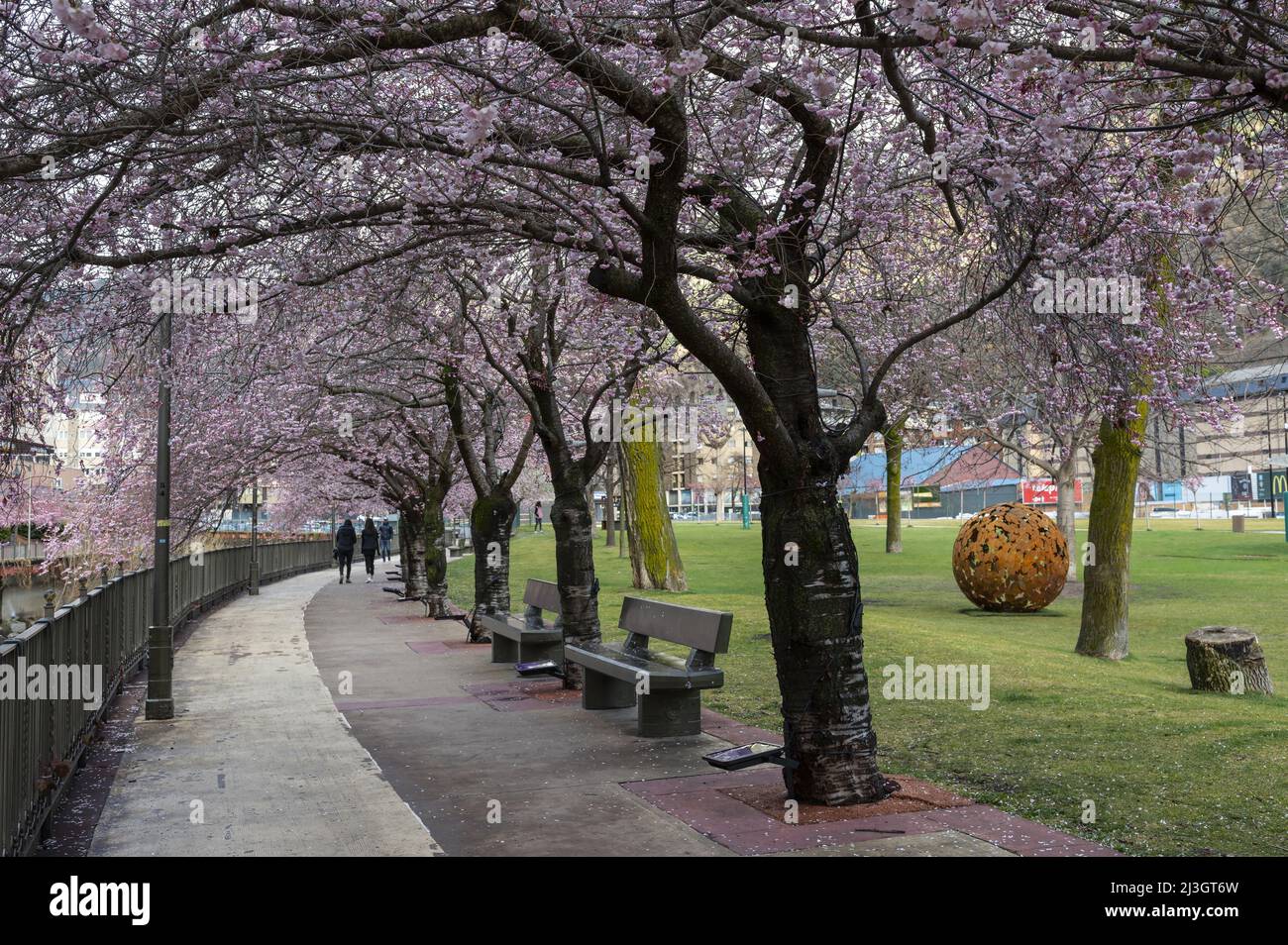 Andorra, Andorra La Vella, the Central Park path runs along the Valira ...