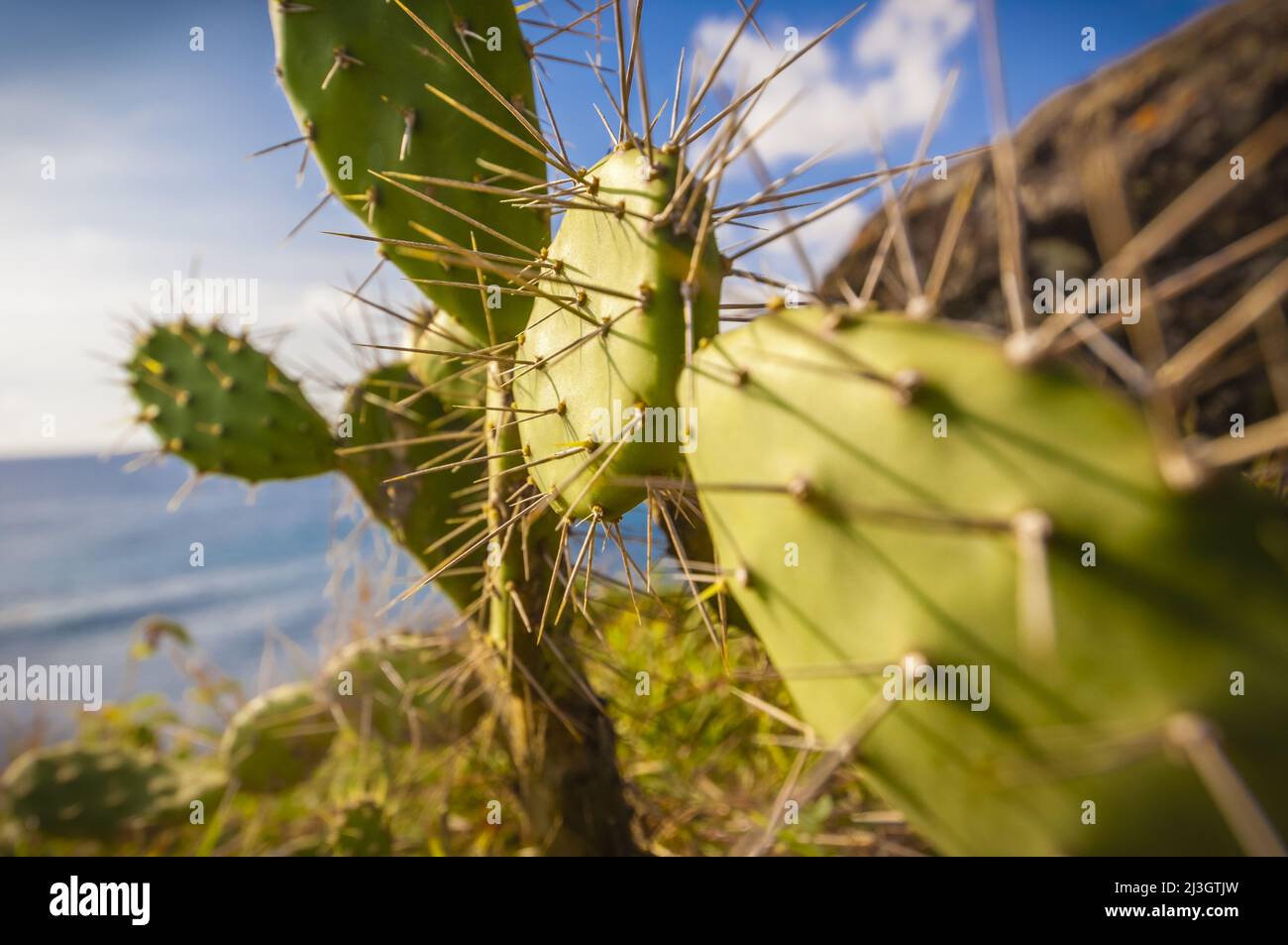 America, Caribbean, Lesser Antilles, French West Indies, Saint-Martin ...