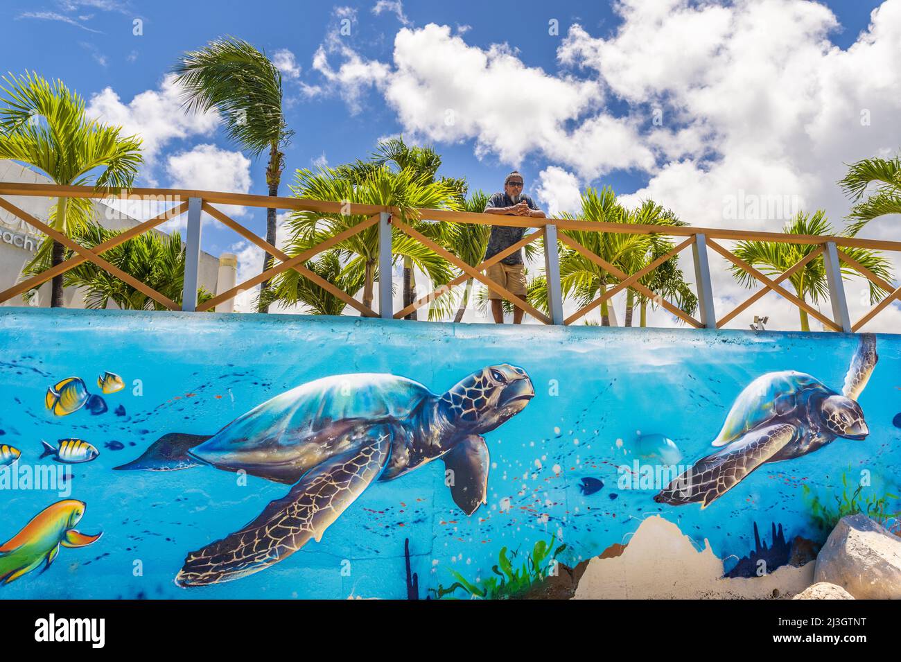 Graffiti turtle hi-res stock photography and images - Alamy