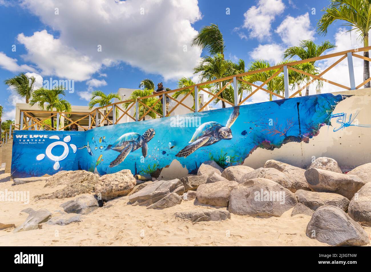Graffiti turtle hi-res stock photography and images - Alamy