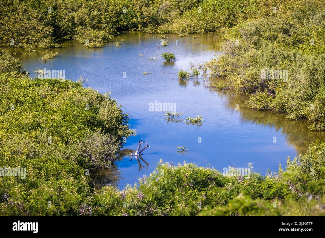 Baie de mangrove hi-res stock photography and images - Alamy
