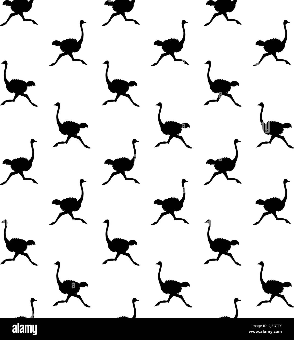Vector seamless pattern of black ostrich silhouette isolated on white ...