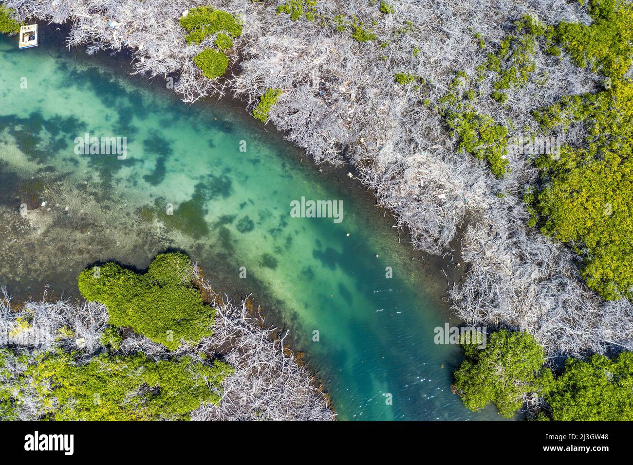 France, Lesser Antilles, French West Indies, Saint-Martin, Baie de l ...