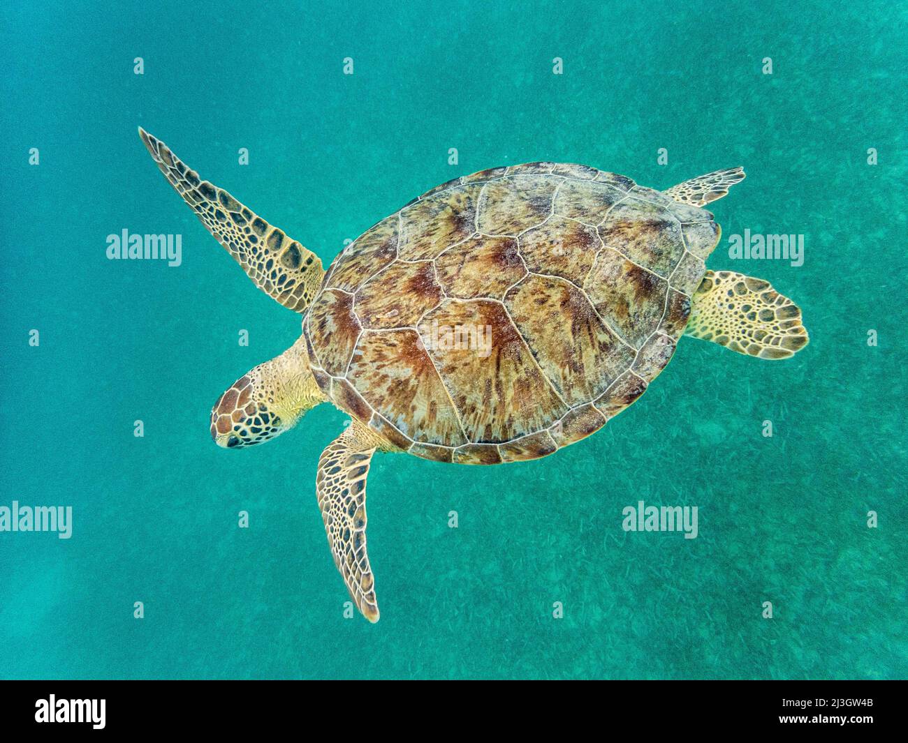 France, Lesser Antilles, French West Indies, Saint-Martin, National ...