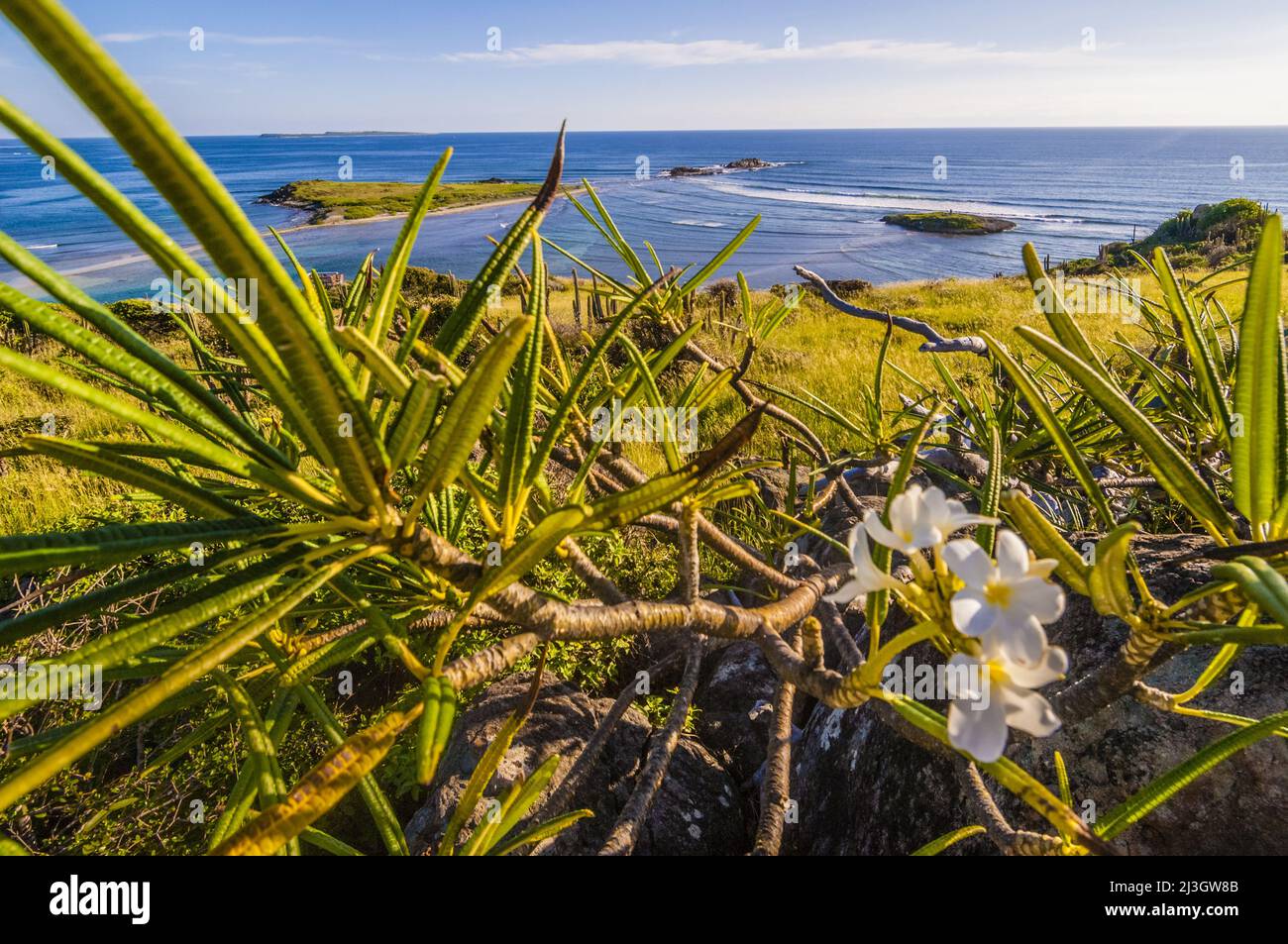 White background and saint martin hi-res stock photography and images ...