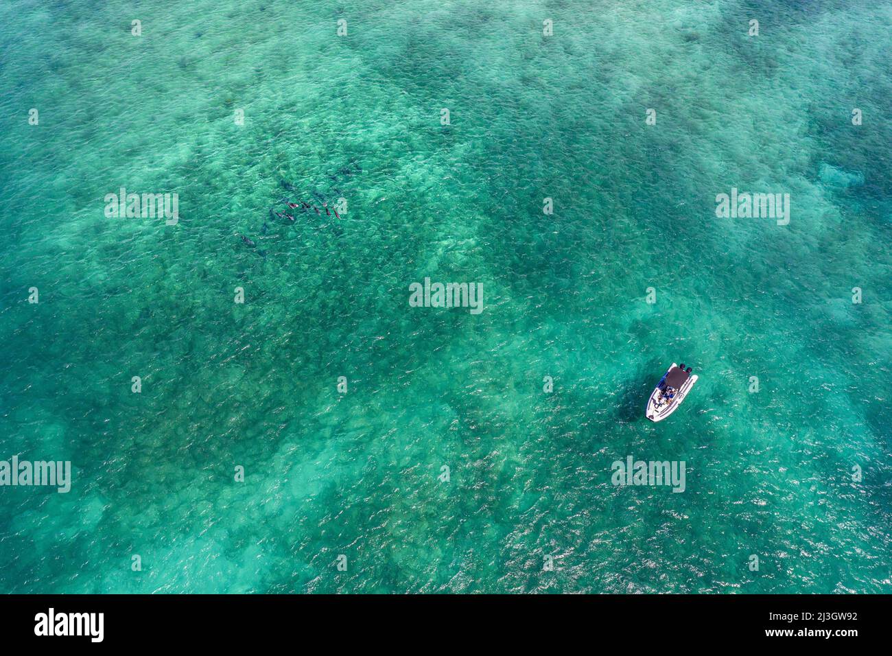 France, Lesser Antilles, French West Indies, Saint-Martin, National ...