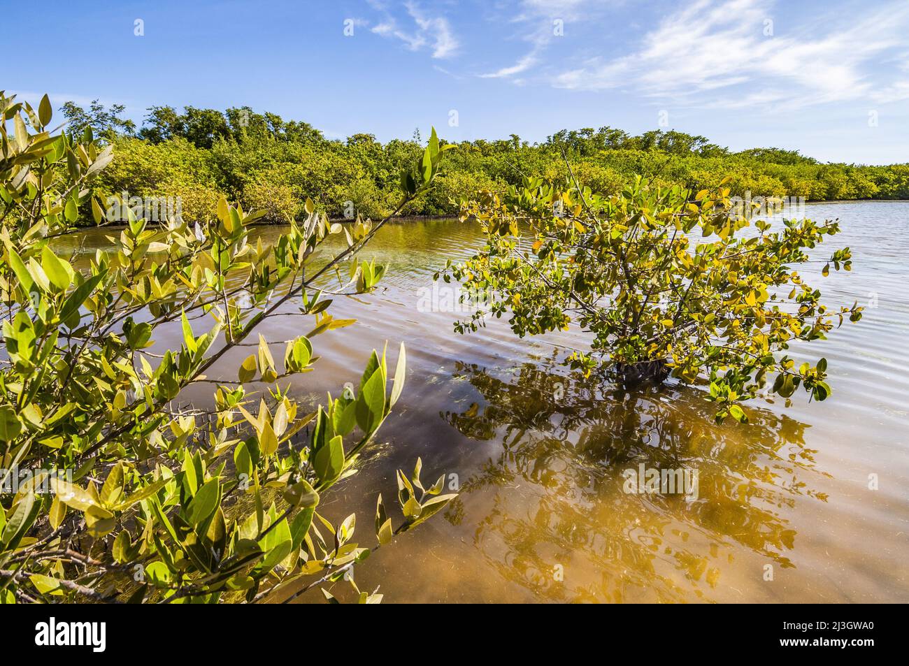France, Lesser Antilles, French West Indies, Saint-Martin, Orient Bay ...
