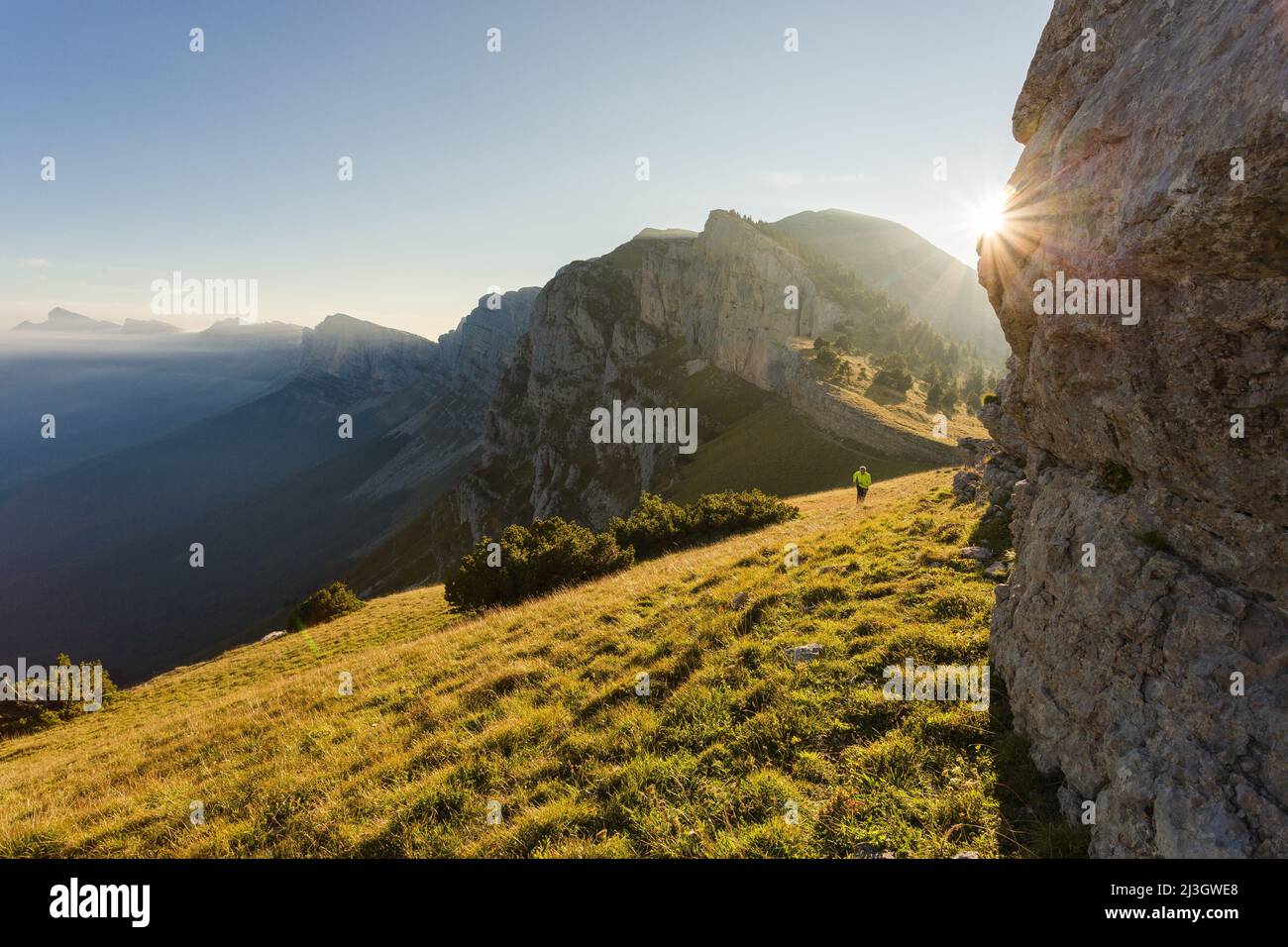 Oriental forest france hi-res stock photography and images - Alamy