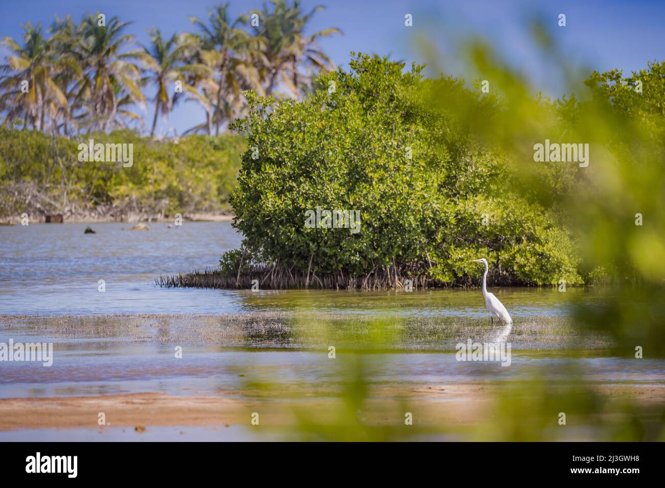 France, Lesser Antilles, French West Indies, Saint-Martin, Le Galion ...