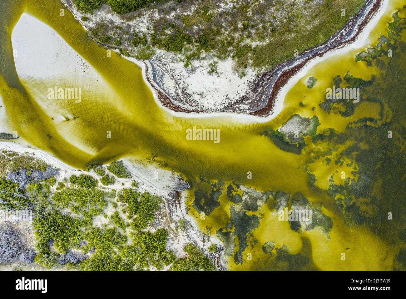 America, Caribbean, Lesser Antilles, French West Indies, Saint-Martin ...