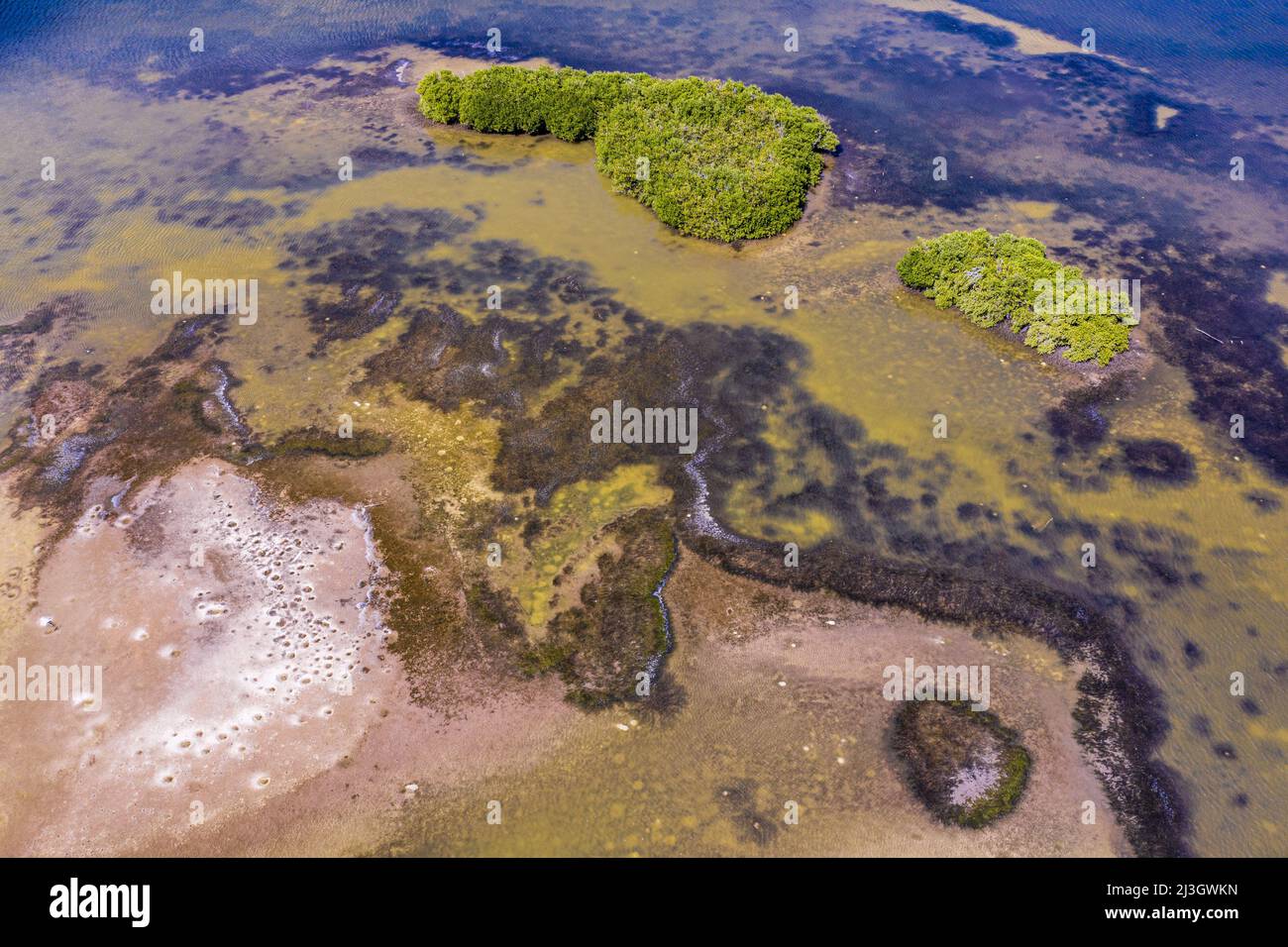 America, Caribbean, Lesser Antilles, French West Indies, Saint-Martin ...