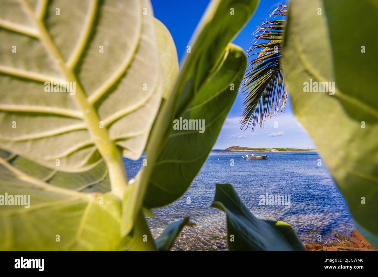 France, Lesser Antilles, French West Indies, Saint-Martin, Baie de l ...