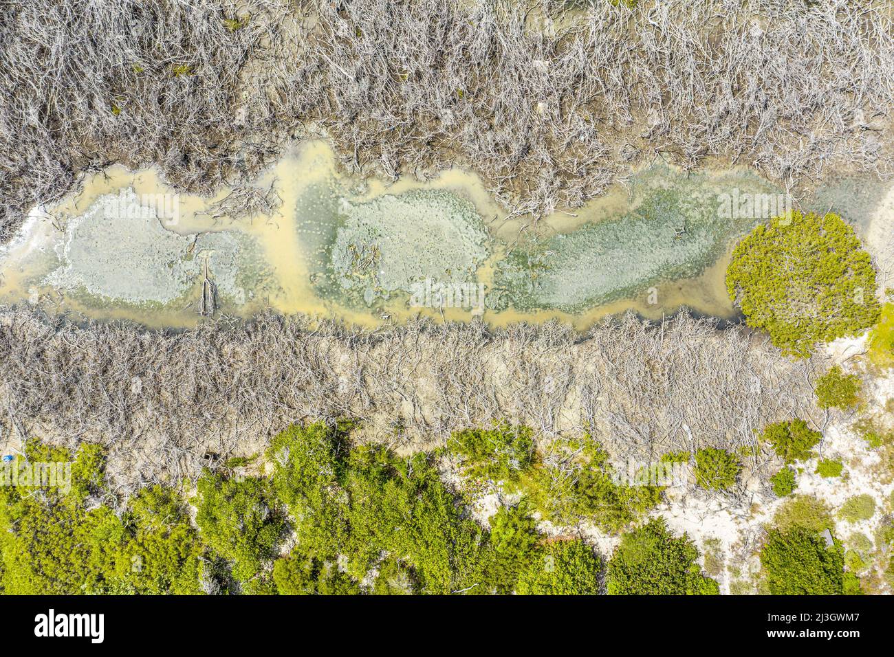 France, Lesser Antilles, French West Indies, Saint-Martin, Baie de l ...