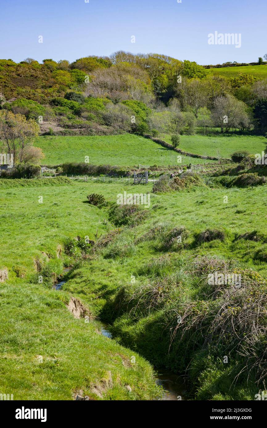 France, Manche, Cotentin, Cap de la Hague, Omonville-la-Petite, Saint ...