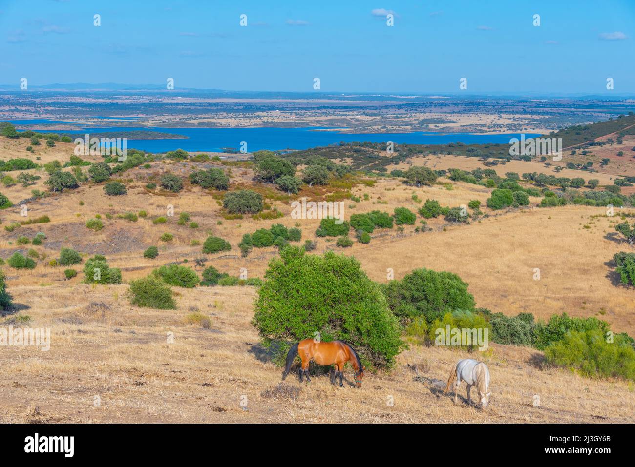 Aerial view of Alqueva lake in Portugal Stock Photo - Alamy