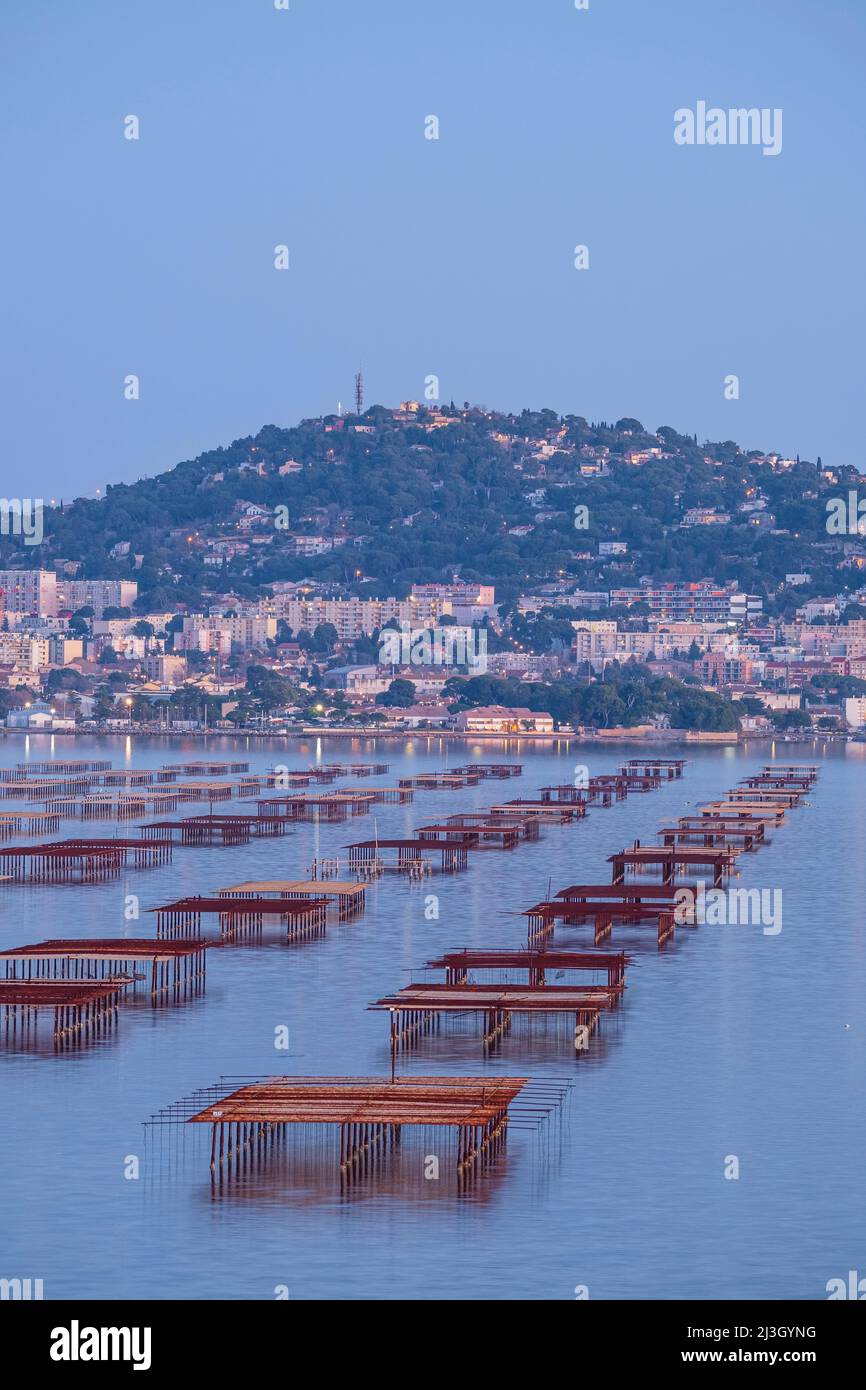 France, Herault, Bouzigues, village on the banks of the Etang de Thau ...