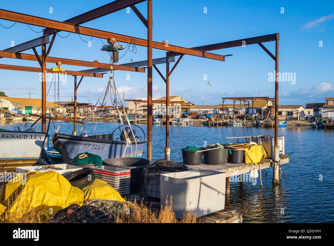 France, Herault, Etang de Thau, Meze, the Mourre Blanc shellfish port ...