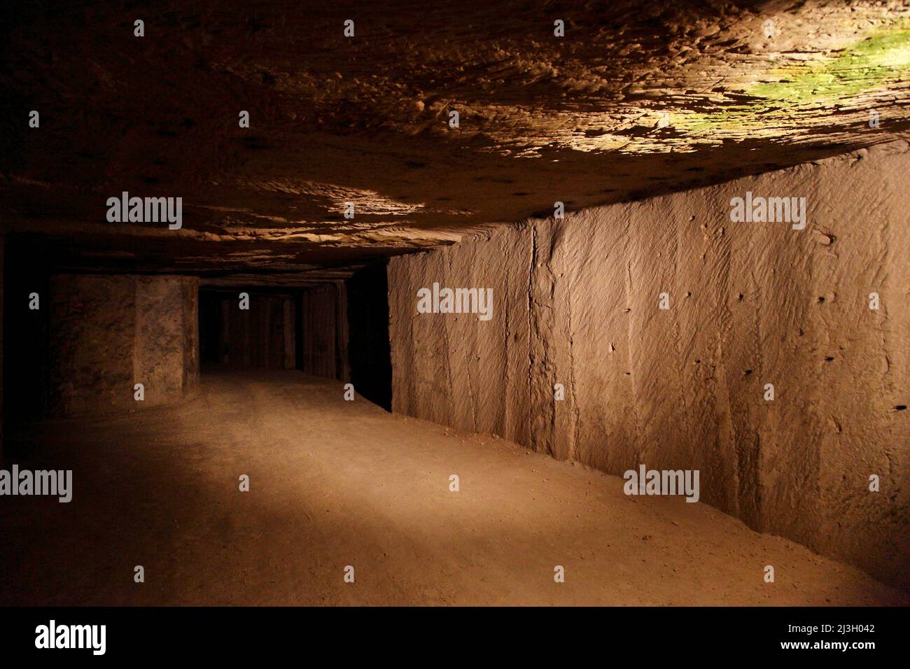 France, Indre et Loire, Loches, Vignemont quarry, former freestone ...