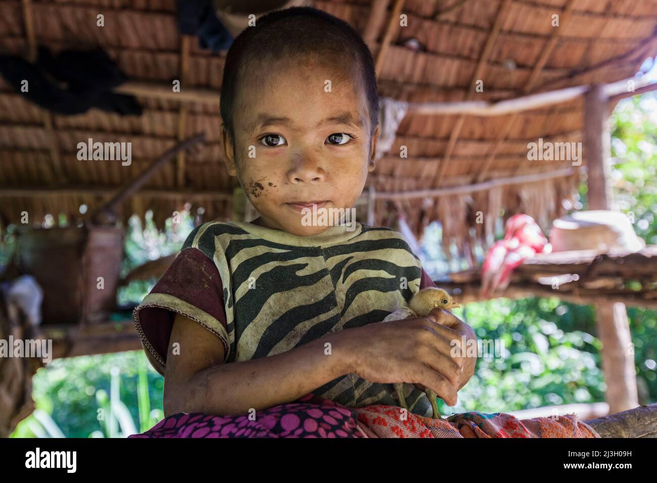 Philippines, Palawan, Rizal, Singnapan Valley, trek to meet the Tau't ...