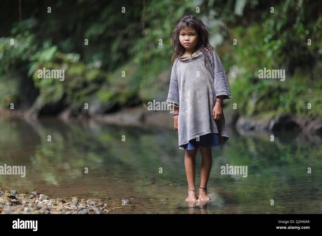 Philippines, Palawan, Rizal, Singnapan Valley, trek to meet the Tau't ...