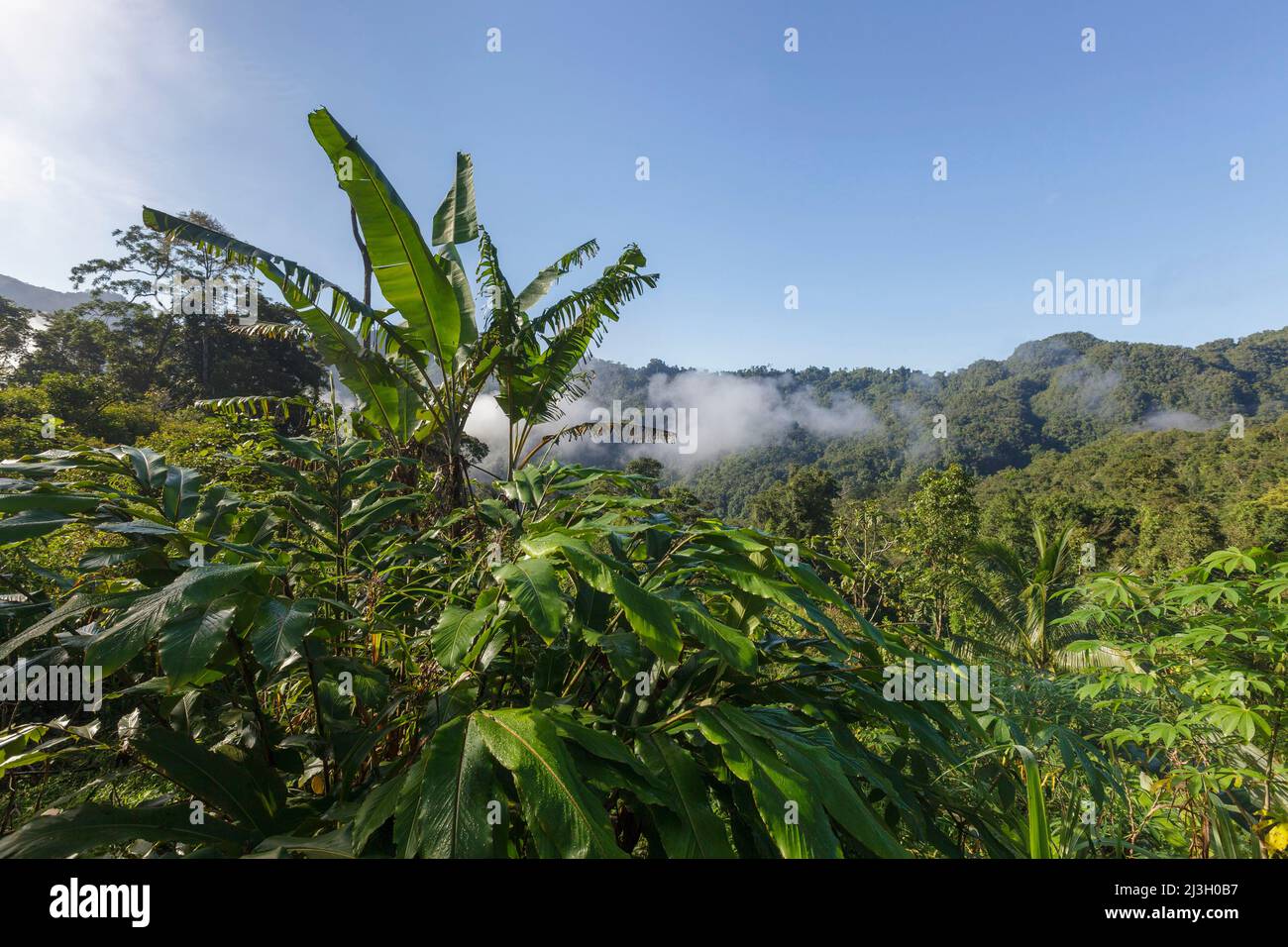 Philippines, Palawan, Rizal, Singnapan Valley, trek to meet the Tau't ...