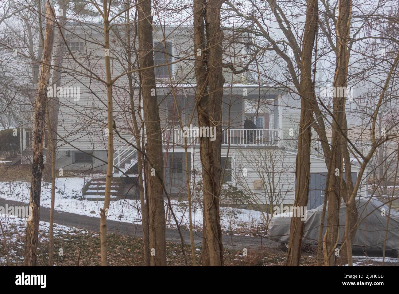 Light snow around large home in forest Stock Photo - Alamy