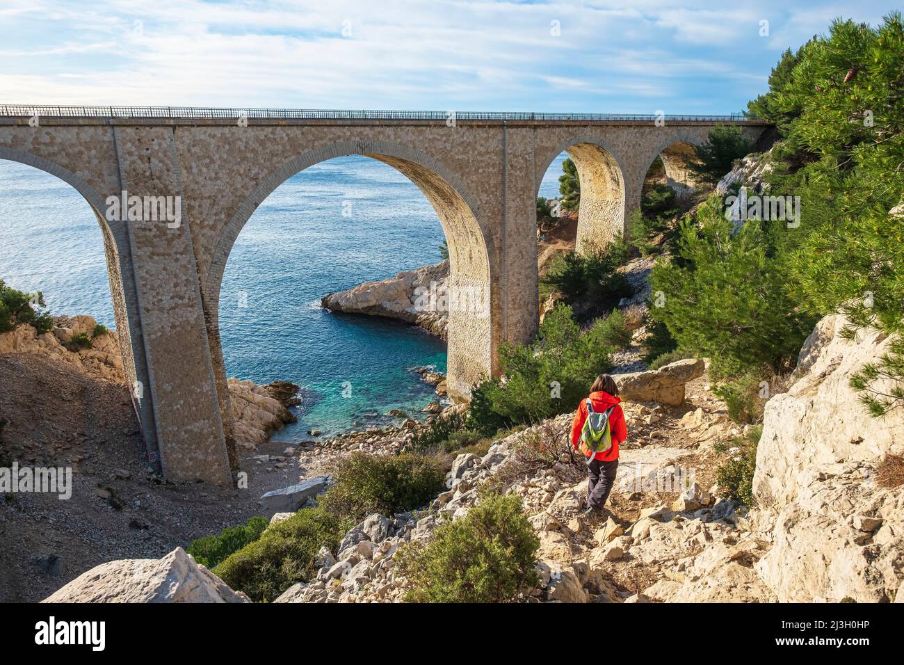 France, Bouches du Rhone, Blue Coast, Le Rove, hike on the customs path ...