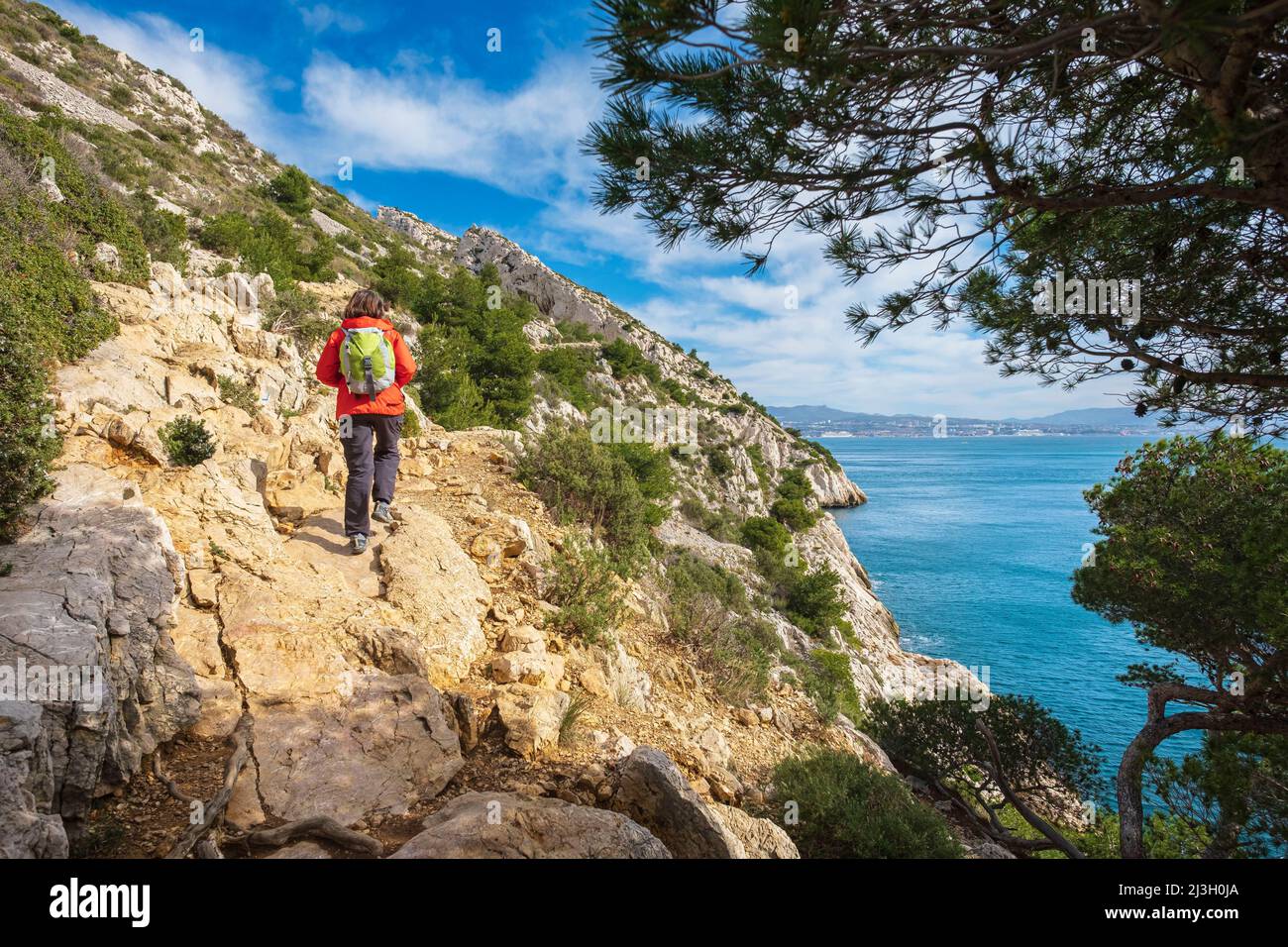 France, Bouches du Rhone, Blue Coast, Le Rove, hike on the customs path ...