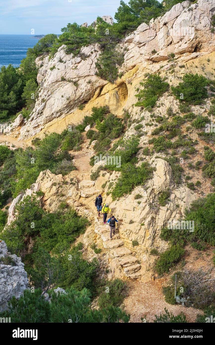 France, Bouches du Rhone, Blue Coast, Le Rove, hike on the customs path ...