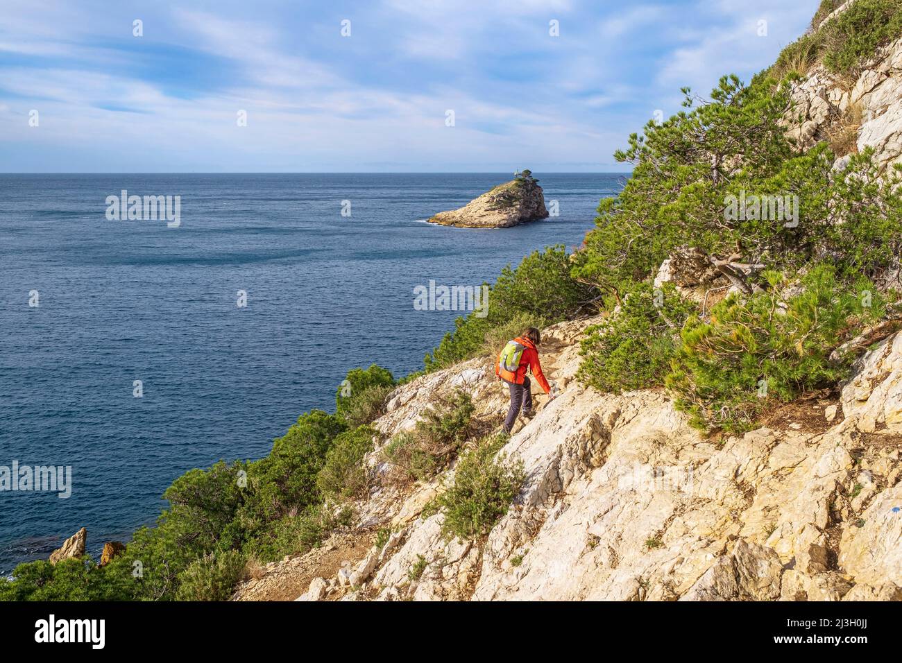France, Bouches du Rhone, Blue Coast, Le Rove, hike on the customs path ...