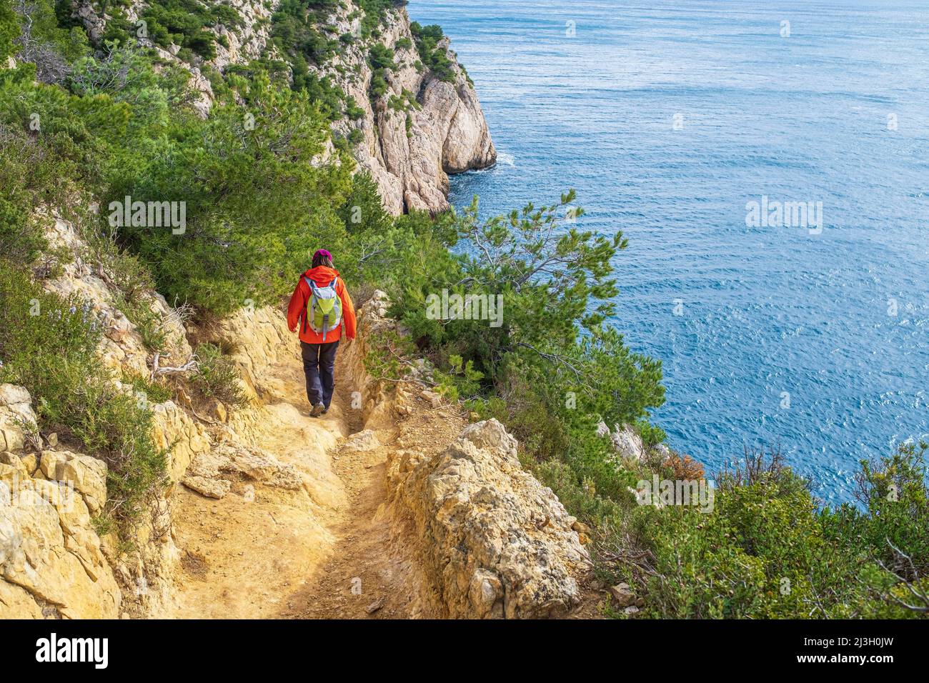 France, Bouches du Rhone, Blue Coast, Le Rove, hike on the customs path ...